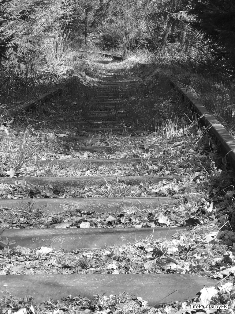 Lost track – Life paints (by FK)