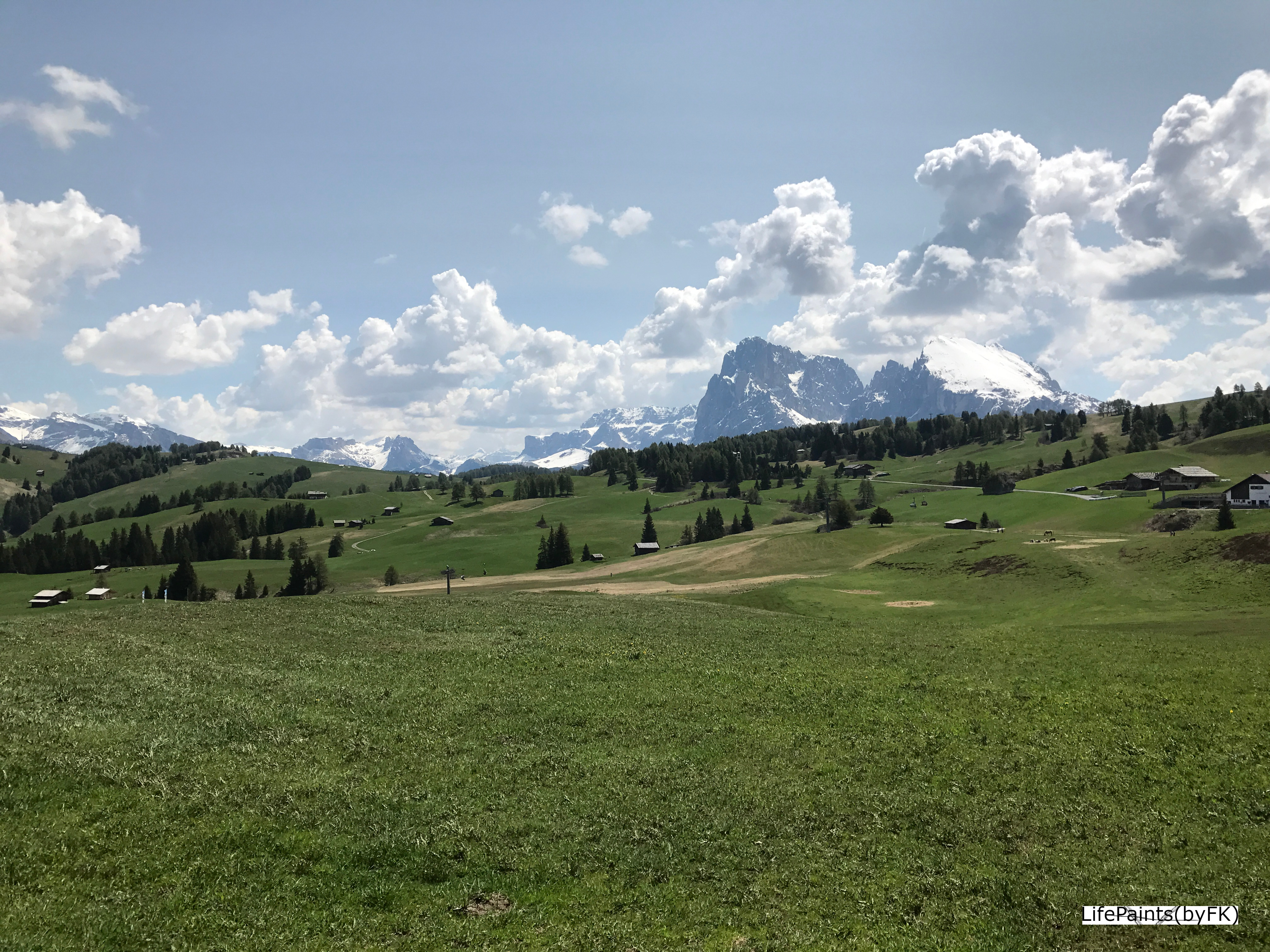 Alpine meadows – Life paints (by FK)